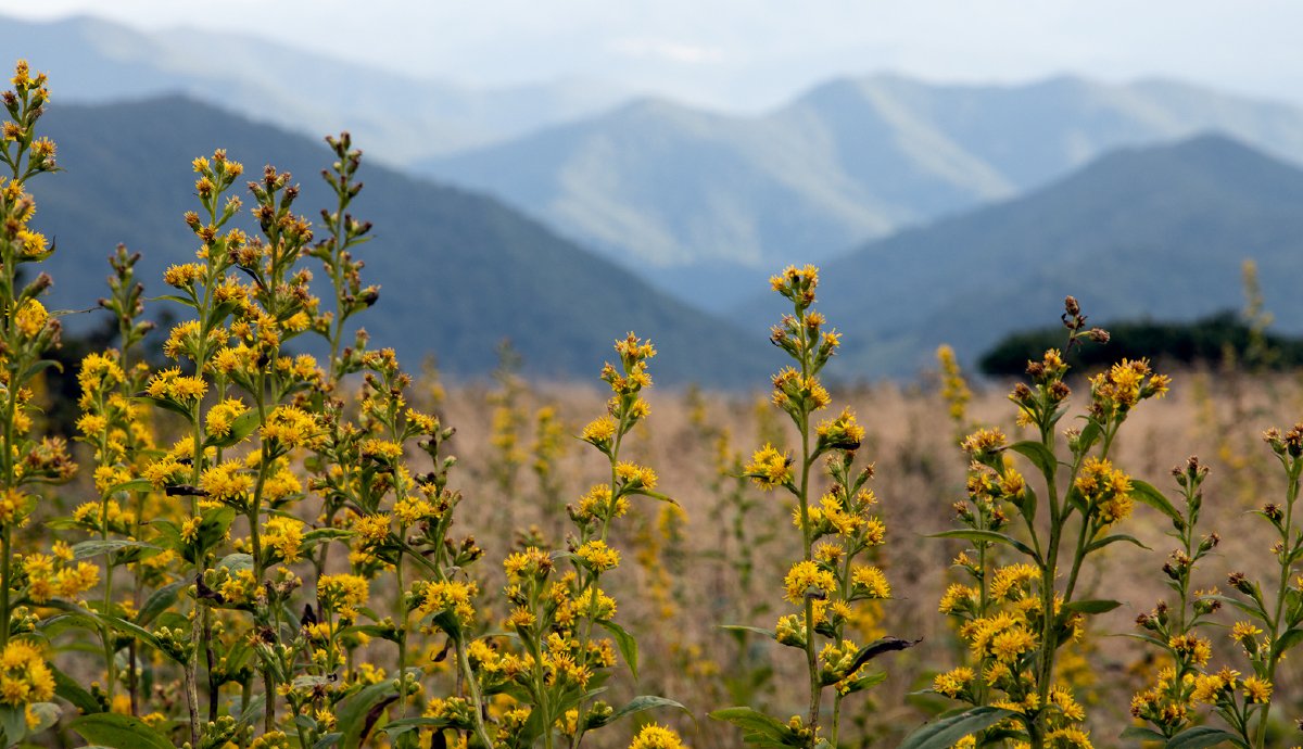 Exploring Safely for Your Landscape Photography